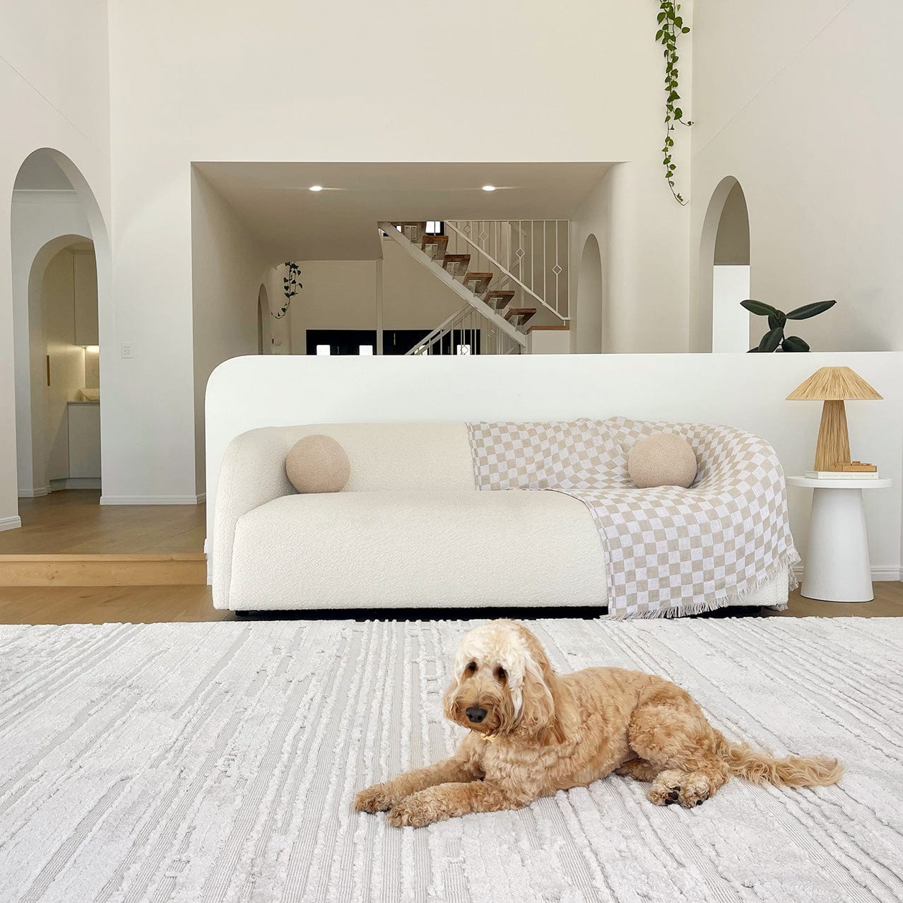 Pet Friendly Rugs | Buy Pet Friendly Rug Online | Miss Amara